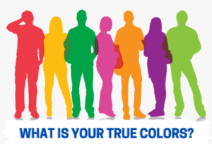 Everything You Need to Know About Personality Profiling