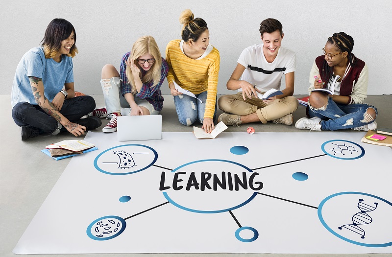 Cultivating a Learning Culture: Strategies for Learning and Development